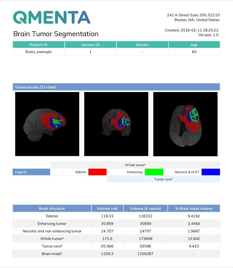 Brain Tumor Segmentation Workflow